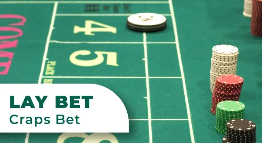 'Lay Bet’ Meaning | Casino & Gambling Terms Explained